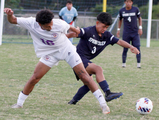 Miteu’s quick strikes help Gators ground Eagles in ‘The Swamp”’ | Mount ...