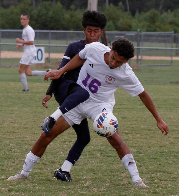 Miteu’s quick strikes help Gators ground Eagles in ‘The Swamp”’ | Mount ...