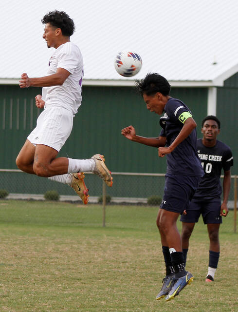 Miteu’s quick strikes help Gators ground Eagles in ‘The Swamp”’ | Mount ...